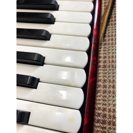 FISARMONICA VINTAGE Ariston Castelfidardo RED 120 BASSI 2 REGISTRI ...