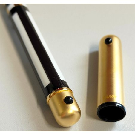 LAMY Lady PORCELLANA Rosenthal Special Edition PENNA STILOGRAFICA ...